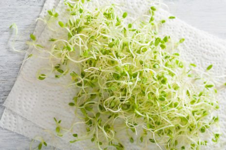 Pineapple Sprout Glowing Green Smoothie Recipe | Solluna by Kimberly Snyder