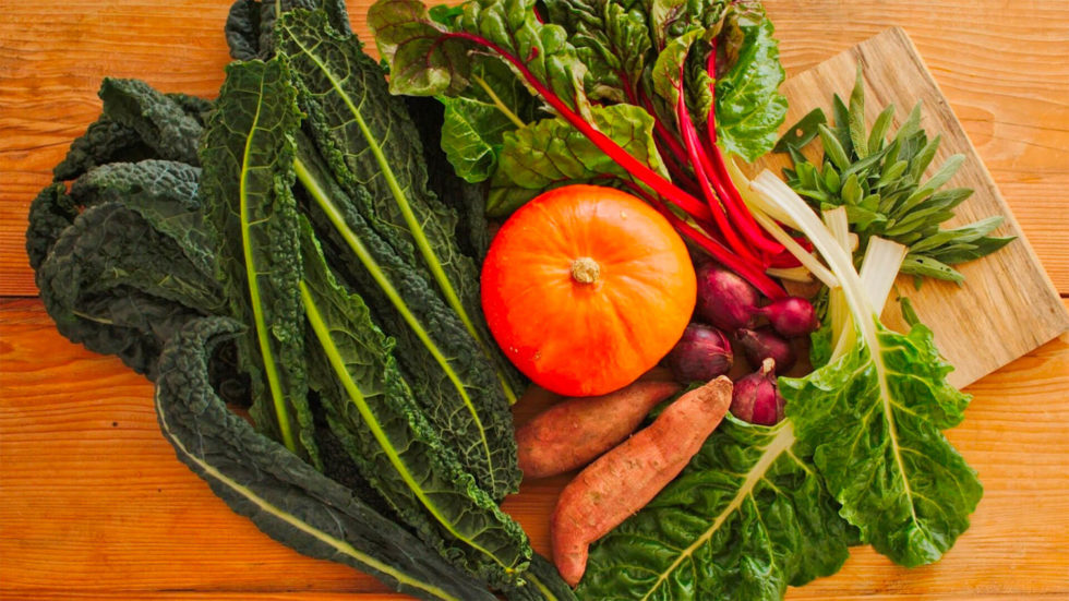 All About Poop (And How to Tell If You Have Healthy Poop) | Solluna by ...