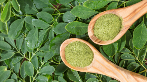 The Incredible Benefits of Moringa Leaf Powder